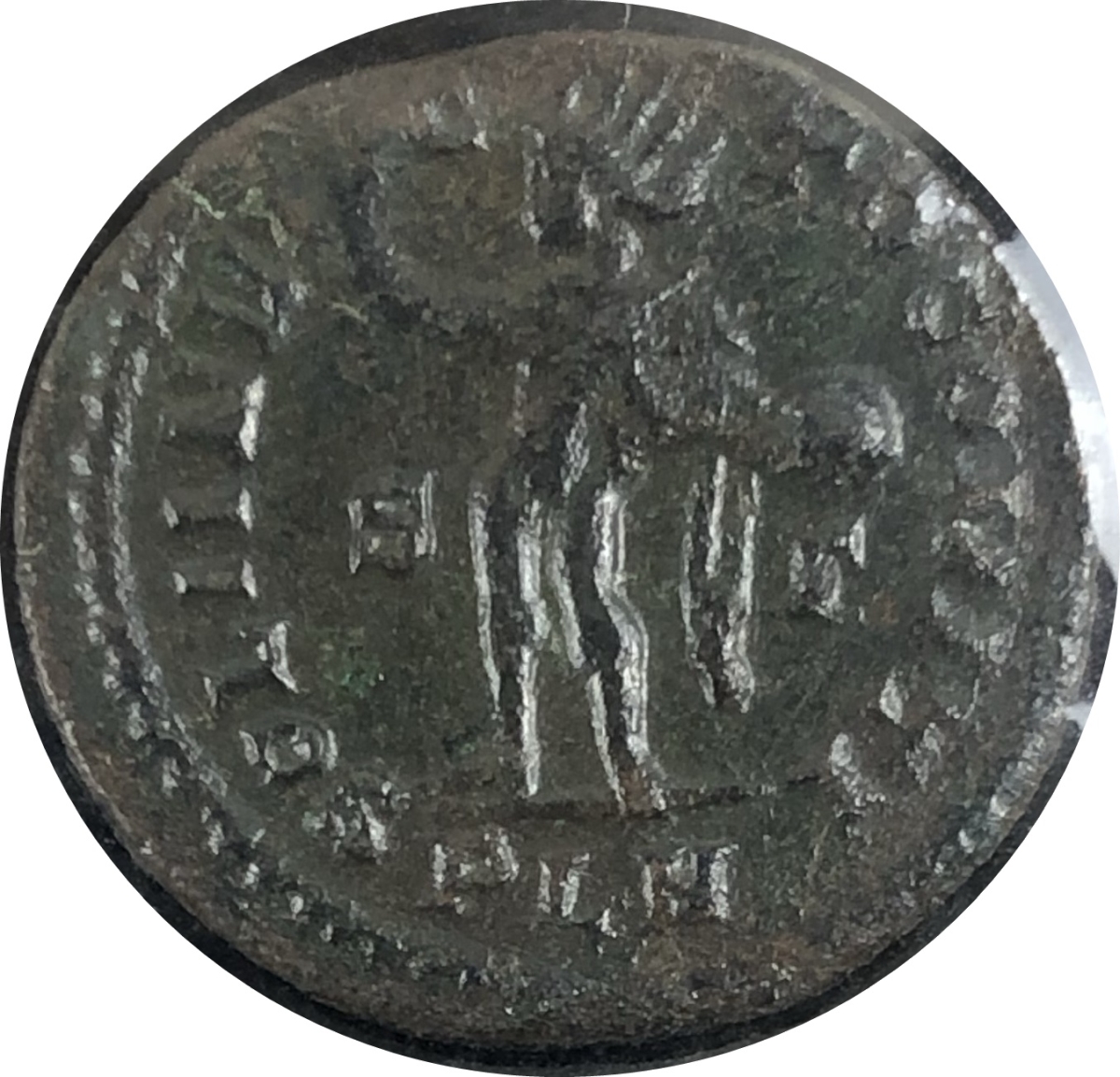 My new Rome coins – Numista