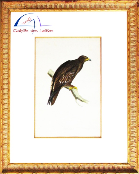 Folk Art: Mid Gordon, Golf Course & O Sandy Bunker // p