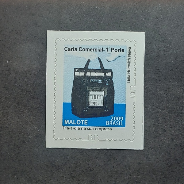 853 - VARIEDADE DE COR - MALOTE