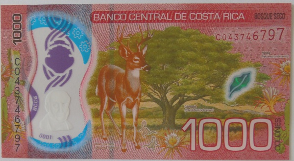 Cedula Estrangeira -Polimero Costa Rica 1 mil Colones 2
