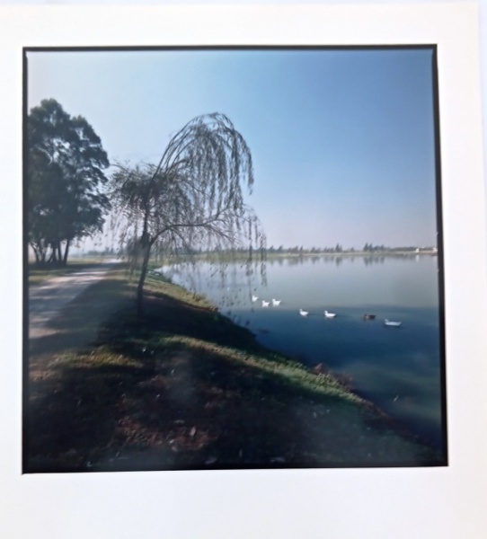 Carlos Fadon Vicente - Foto reprodução com cena de pais