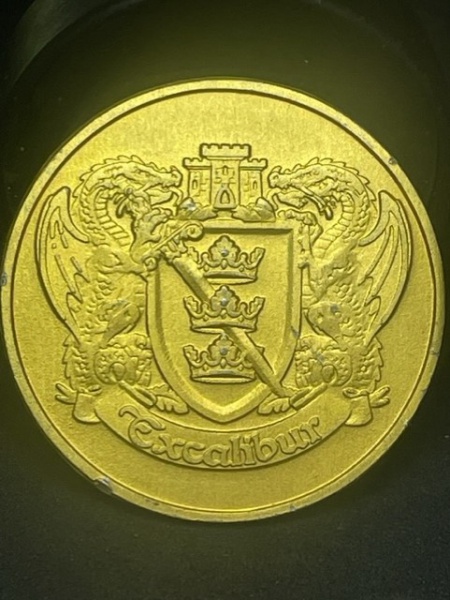 LINDO TOKEN MEDALHA DE ALUMINIO 42 mm ALTO RELEVO CARNA