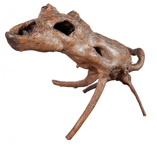 Mestre Petrônio - José Petrônio Farias dos Anjos (Pão d