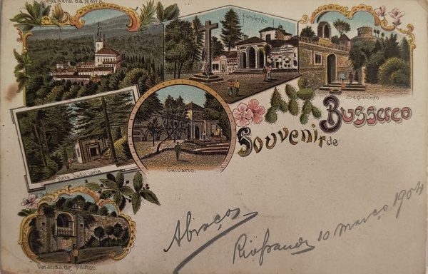 Colecionismo - Postal. "Souvenir de Bussaco". I
