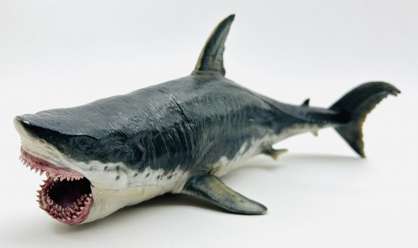 Megalodonte Pre Historico