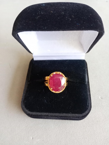 LeilõesBR - Como Comprar