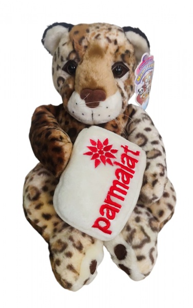 Flavia Santos Leilões